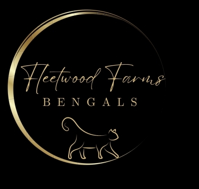 Fleetwood Farms - Cat Breeder in Morgantown, Indiana