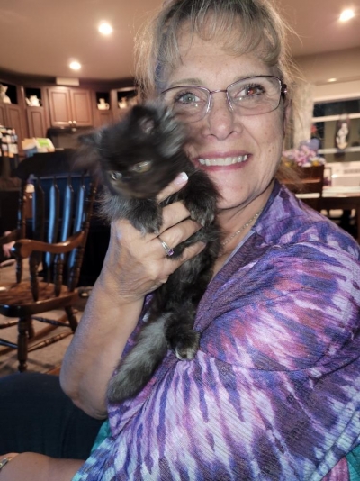 Paula - Cat Lover in Sandy, Oregon