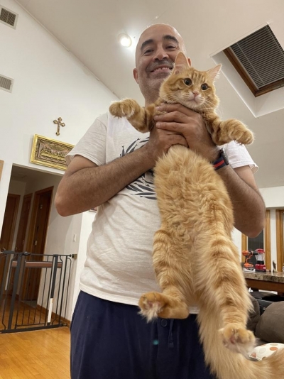 Emil - Cat Breeder in Lodi, New Jersey