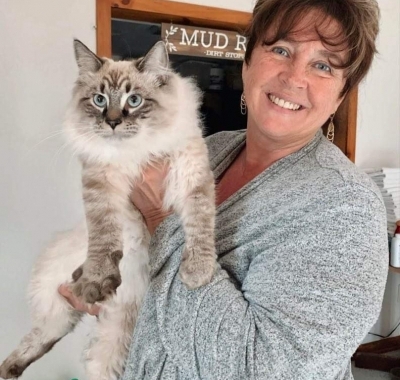 Tammy - Cat Breeder in Blacksburg, Virginia