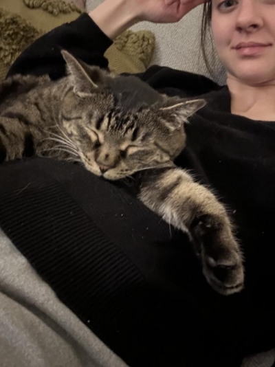 Olivia - Cat Lover in Brooklyn, New York