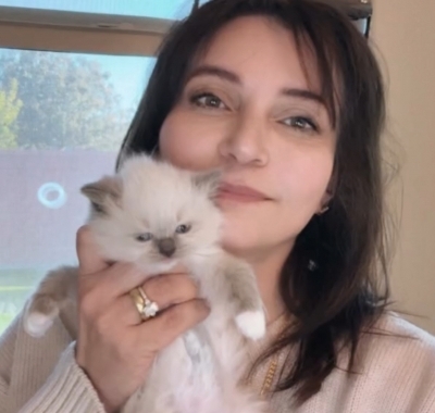 Hala Shams - Cat Breeder in Gilbert, Arizona